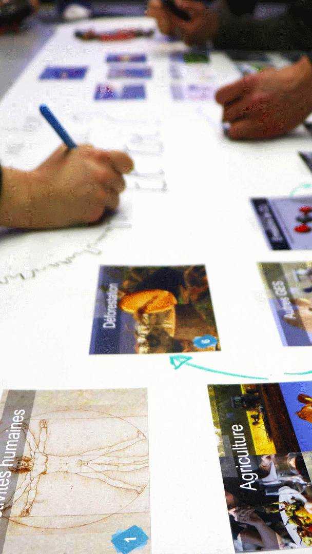 ANMA / The Climate Fresco